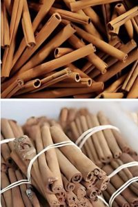How to grow Cinnamon trees – RECIPES